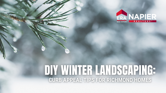 DIY Winter Landscaping: Curb Appeal Tips for Richmond Homes | Napier ERA