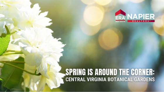 Spring Is Around The Corner