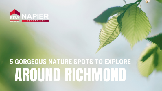 5 Gorgeous Nature Spots to Explore Around Richmond | Napier ERA