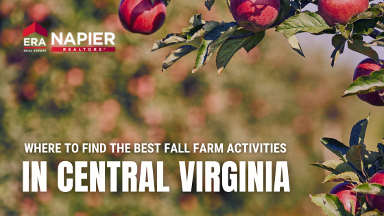 Where to Find the Best Fall Farm Activities in Central Virginia ...